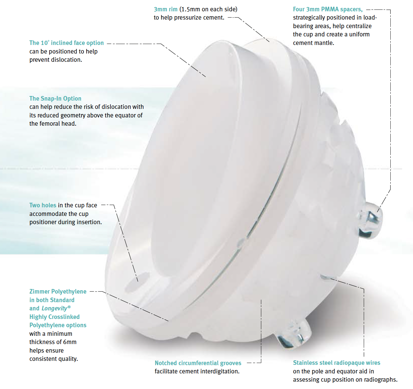 Cemented acetabulum | The Bone School
